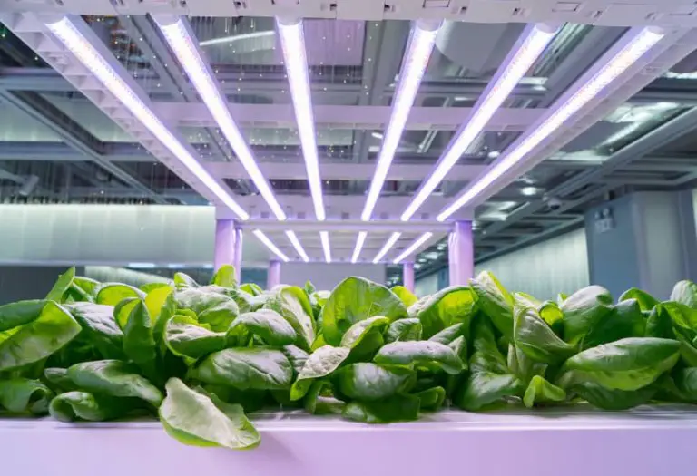 11 Reasons Why LED Lights Are Better For The Environment Ledlightplanet 11-reasons-why-led-lights-are-better-for-the-environment-ledlightplanet